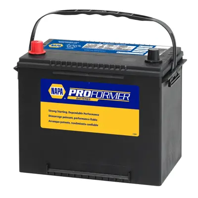 NAPA PROFORMER Battery 24 Months Free Replacement BCI No. 24 650 A BPF ...