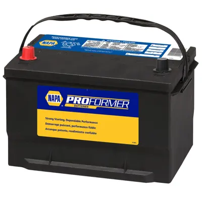 NAPA PROFORMER Battery 24 Months Free Replacement BCI No. 65 675 CCA ...