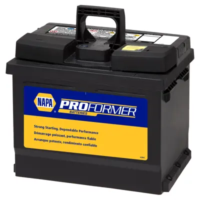 NAPA PROFORMER Battery 24 Months Free Replacement BCI No. 67R 390 A BPF ...