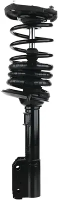 NAPA PROFORMER Strut PNS LS56925 | Buy Online - NAPA Auto Parts