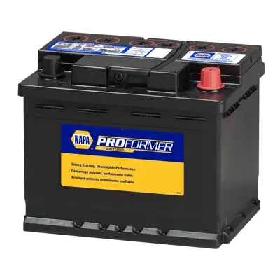 NAPA PROFORMER Battery 24 Months Free Replacement BCI No. 47 625 CCA ...